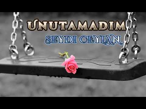 Unutamadım [Kaç kadeh kırıldı] - Seydi Ceylan (Elektro Bağlama Arabesk)