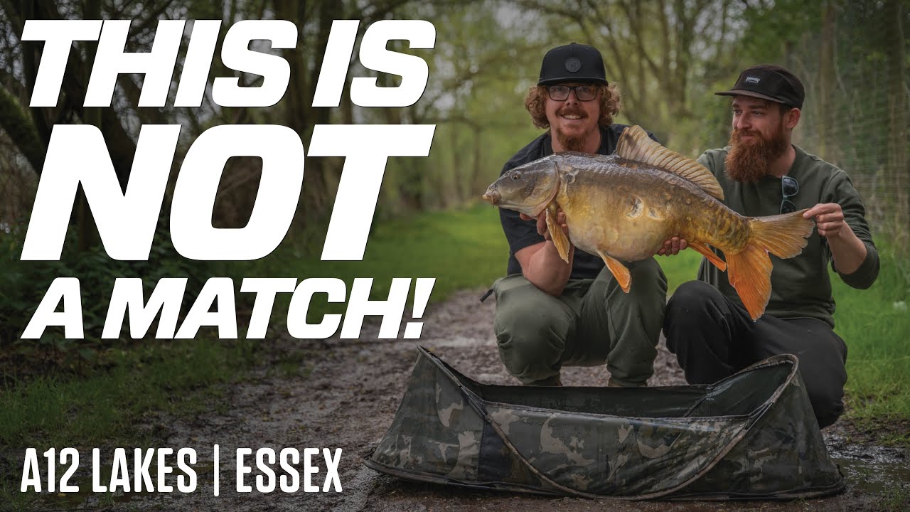This is NOT a Carp Match! 24hrs Carp Fishing On A12 Lakes - YouTube