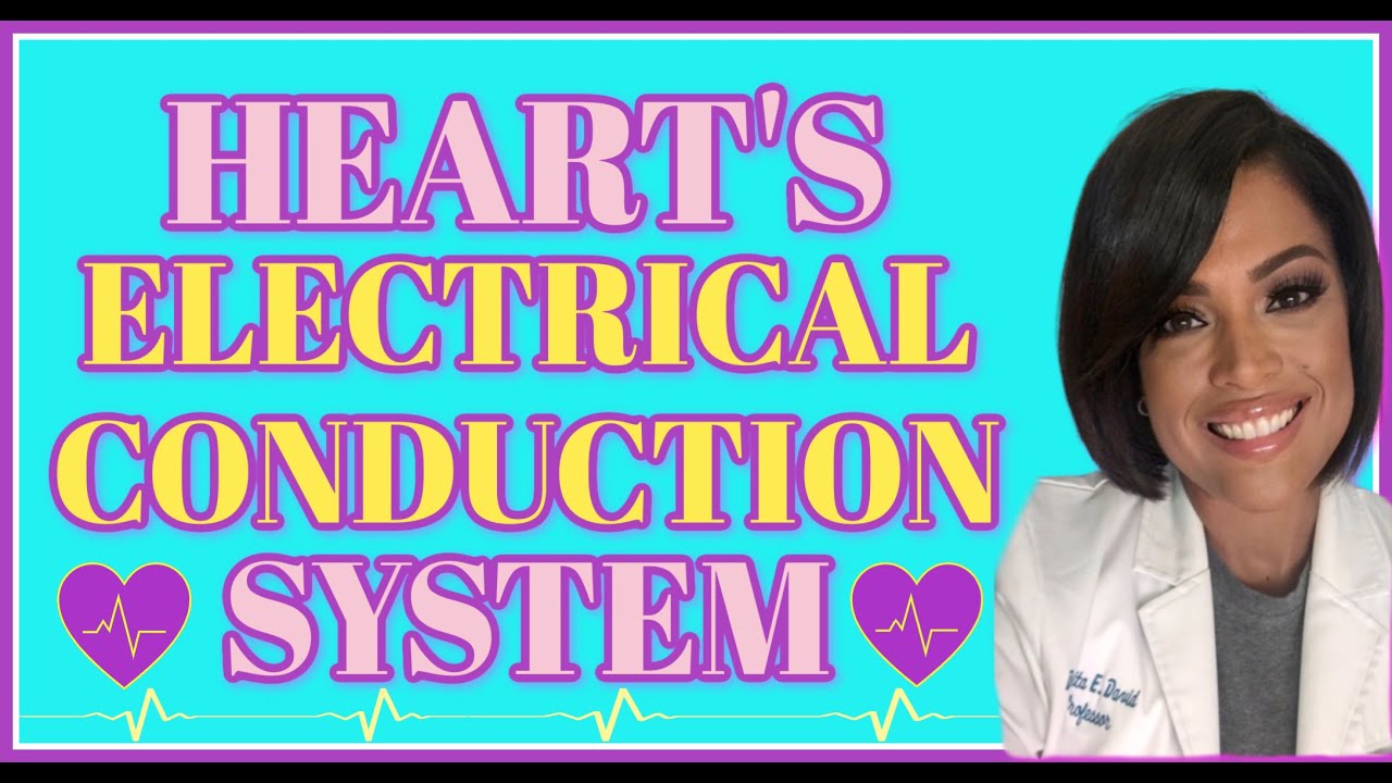 Electrical Conduction System of the Heart | Cardiac Nodes & PQRST ...