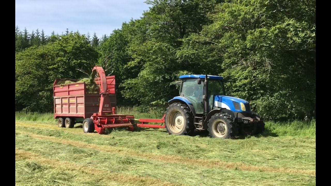 Cumbrian Silage 2023. NH TS100A/ JF 900 drag chopper + carting team ...