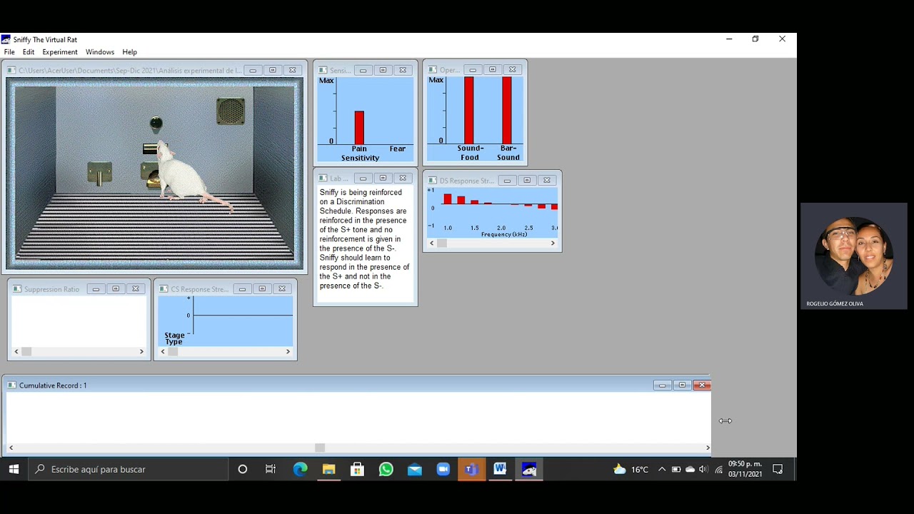 Tutorial Práctica 8 Neurosis experimental - YouTube