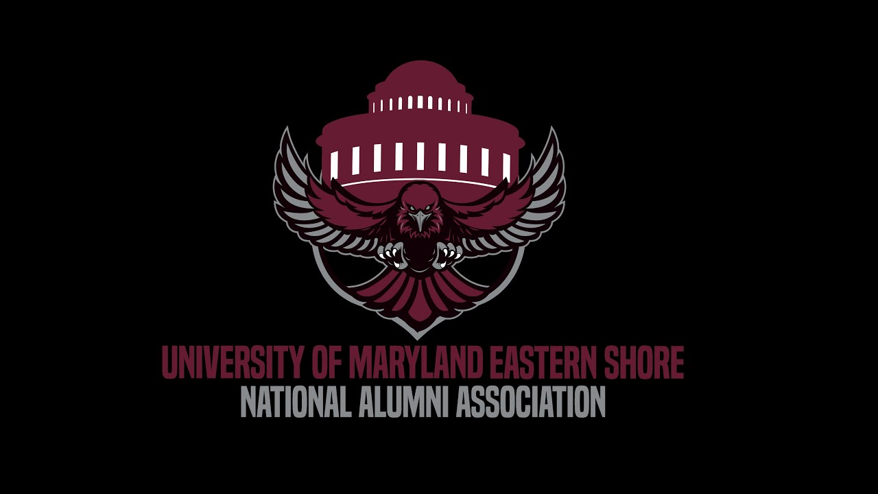 UMES NAA Logo Reveal - YouTube