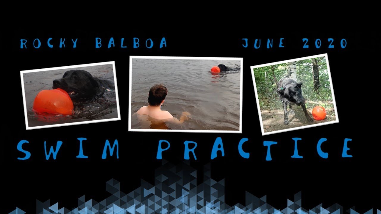 2020 Swim practice for Rocky - YouTube