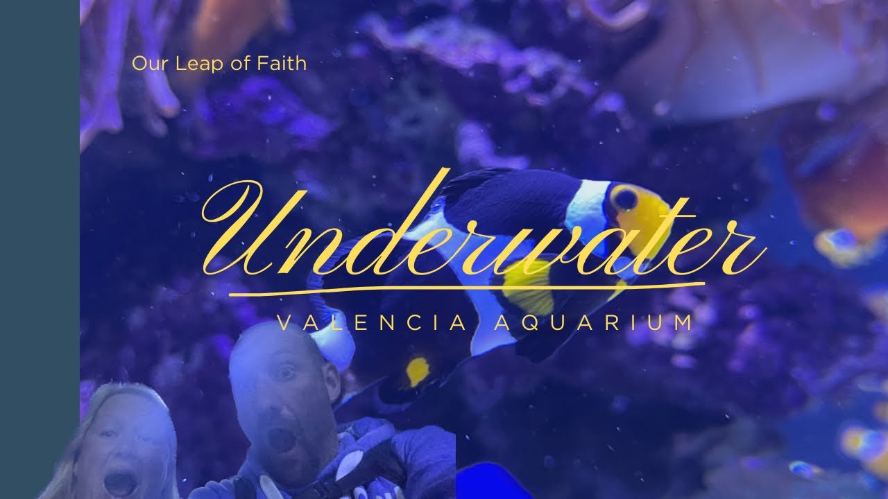 Visiting Valencia's Oceanogràfic Aquarium- An Underwater Paradise - YouTube