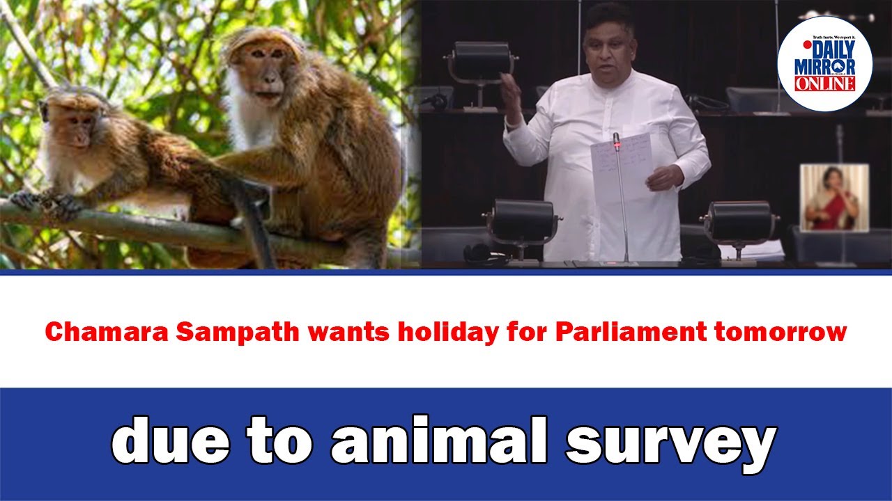 Chamara Sampath wants holiday for Parliament tomorrow due to animal ...