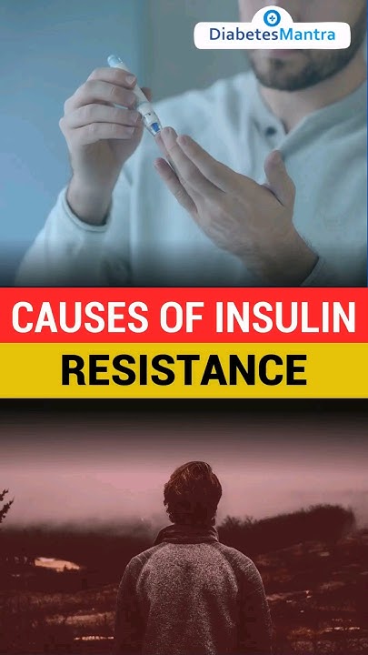 Causes Of Insulin Resistance - YouTube