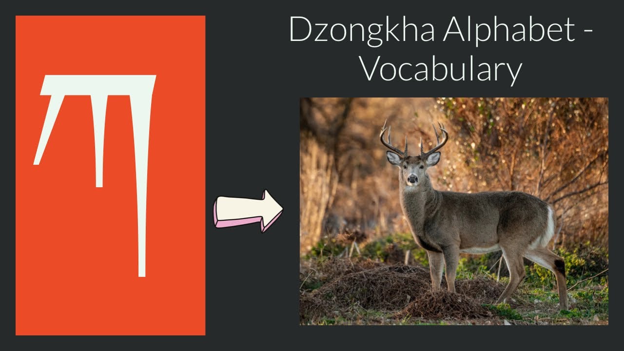Dzongkha Alphabet Vocabulary Dzongkha Alphabet Word Play Bhutan dzongkha-alphabet-vocabulary-dzongkha-alphabet-word-play-bhutan