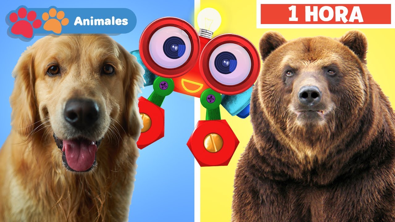 Mis Amigos Animales con Robi | Aprender animales | Perro | Oso y mas ...