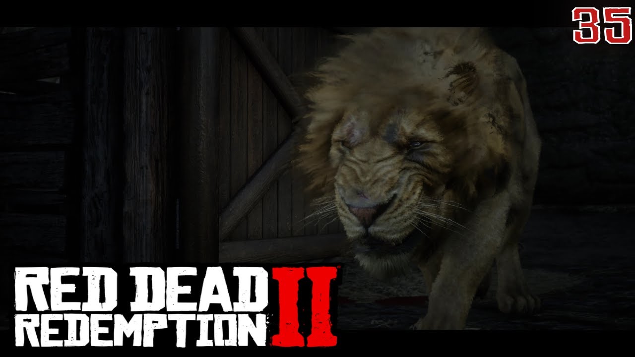 Cute "Doggy" | Red Dead Redemption 2 #35 - YouTube
