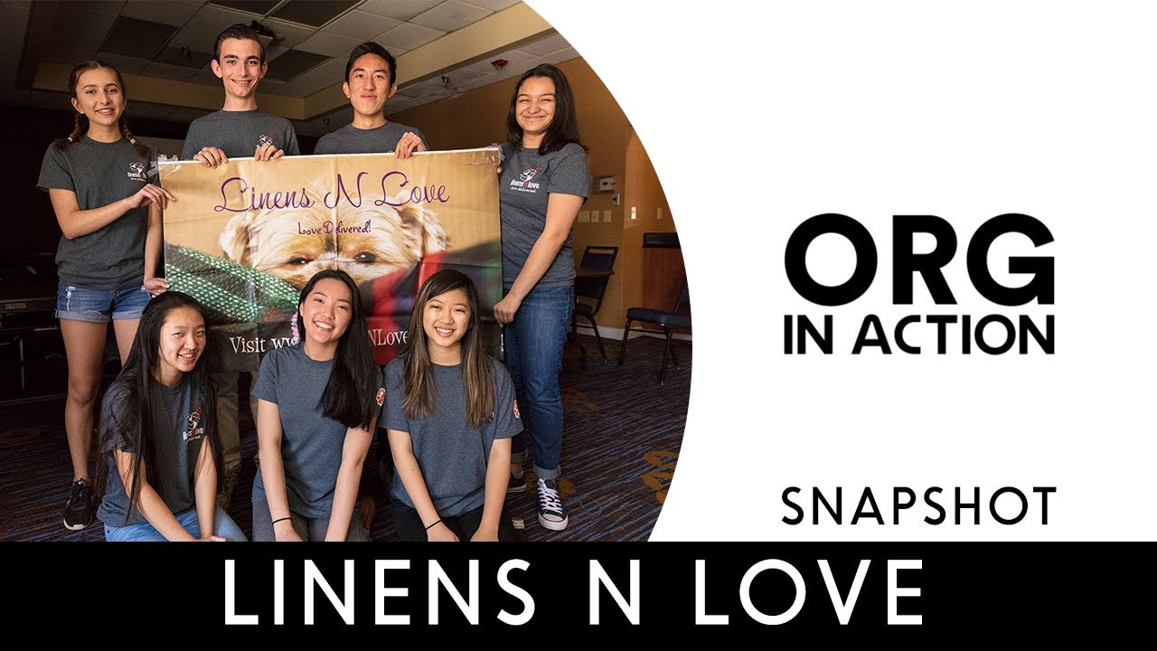 Linens N Love: Turning Hotel Linens into Shelter Support - YouTube