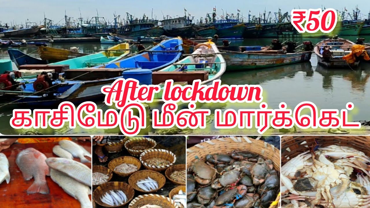 Kasimedu Fish Market week days || Amazing Fish Cutting Skills - YouTube