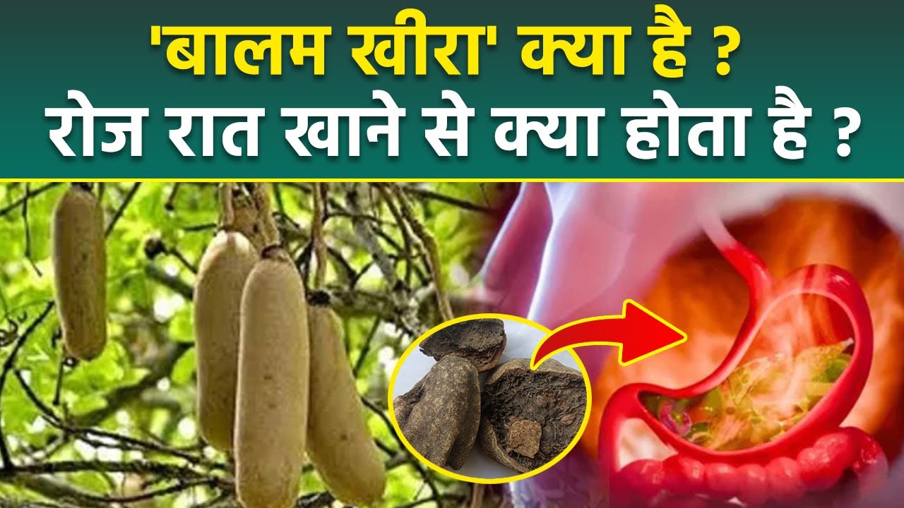 Balam Kheera Benefits: बालम खीरा खाने से क्या फायदा होता है,किस किस रोग ...