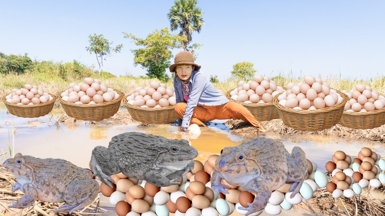 Cute Girl Catches Giant Frogs And Picking Duck Eggs in The Pond Near ...