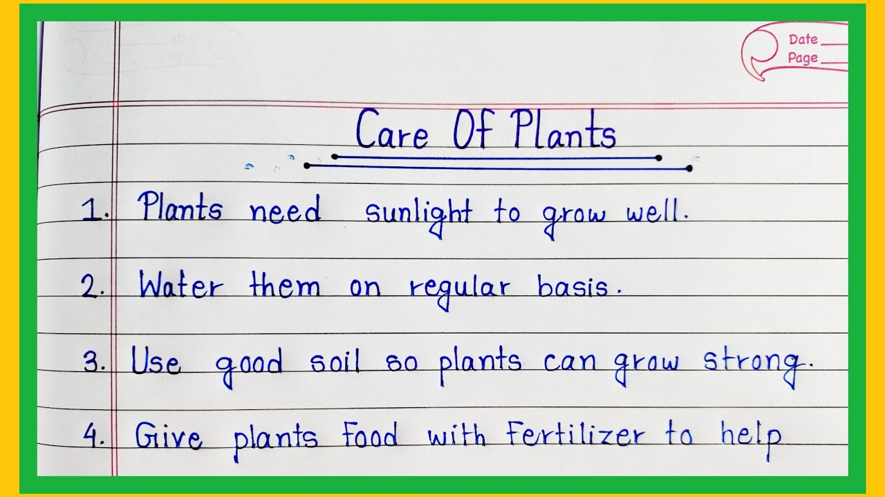 10 Lines Essay On Care Of Plants ☘️ In Englis |Easy Sentences About ...