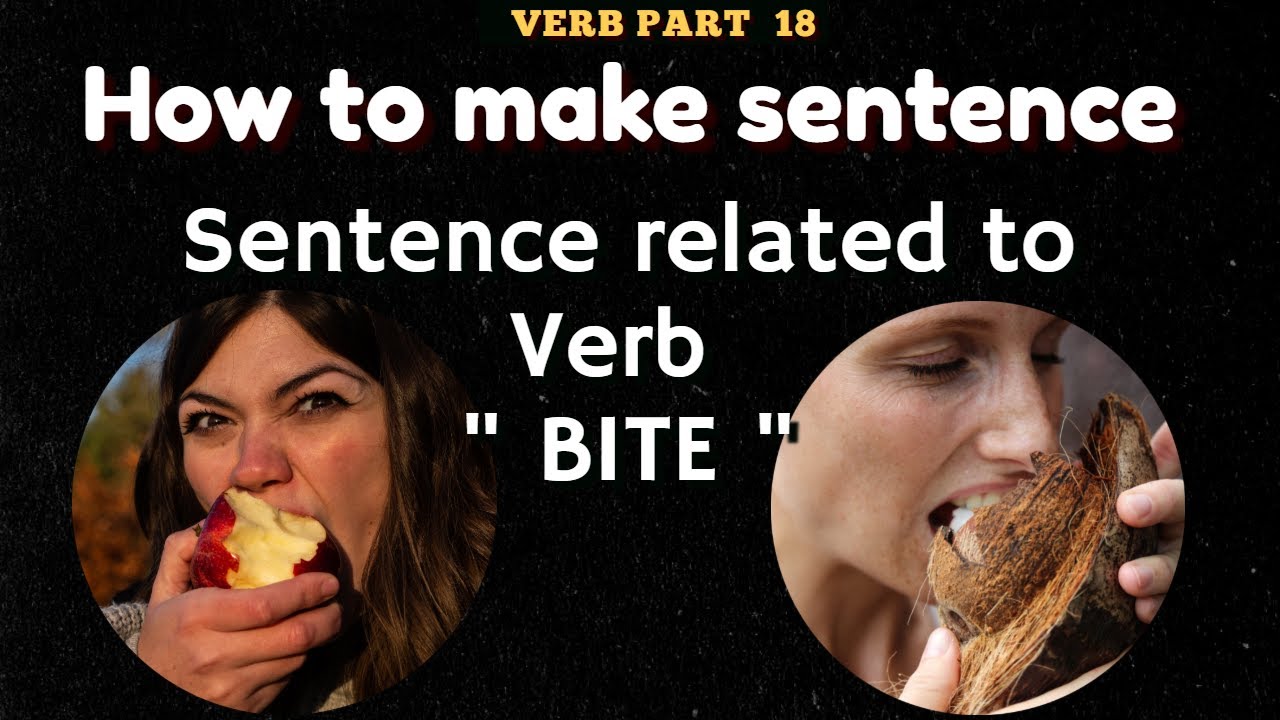 Sentences Sentences Related To Verb BITE Verb sentences-sentences-related-to-verb-bite-verb