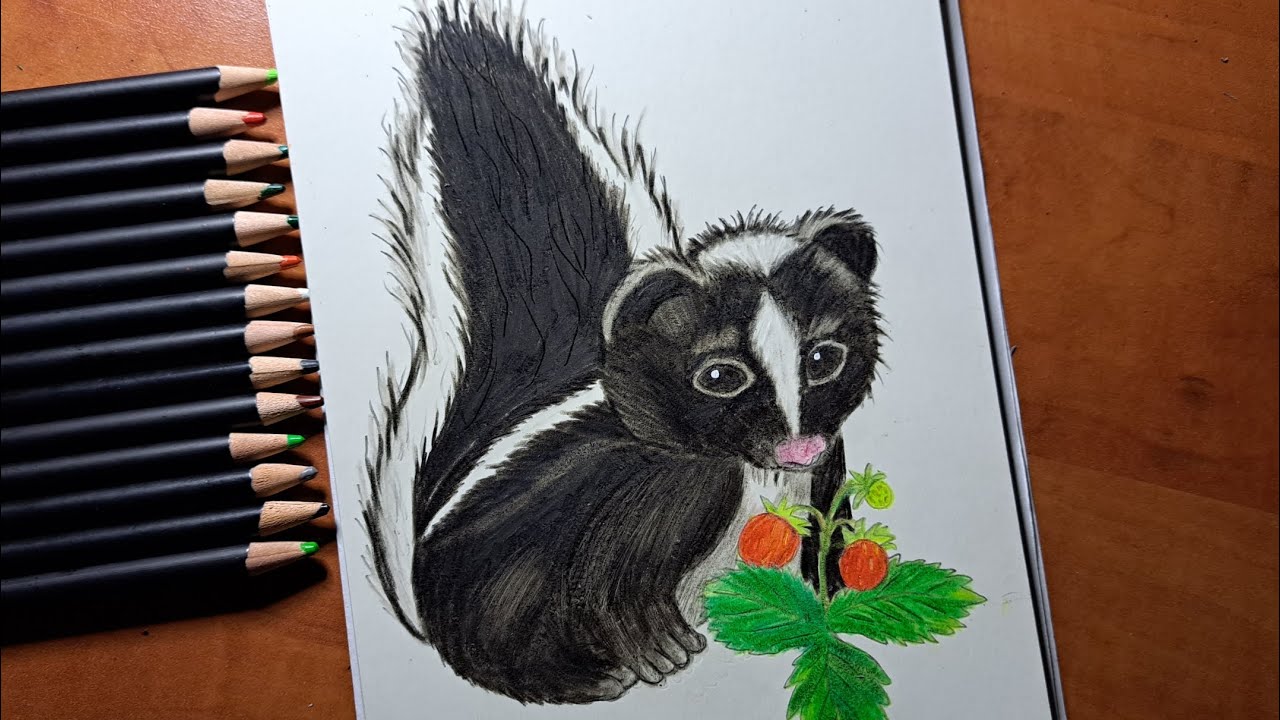 How to draw a cute skunk. Draw a skunk animal #skunks #drawing #art #animalsdrawing #animals ...