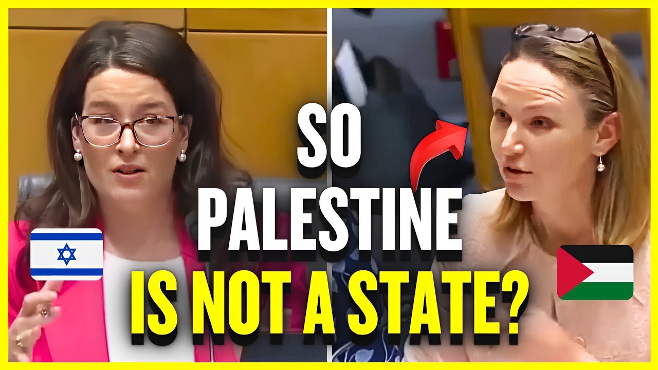 Entire Committee Defends Palestine - Then Australian Senator Responds ...