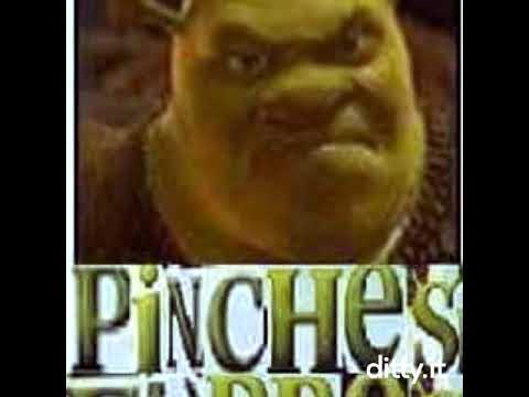 Pinches Furros (Shrek) - YouTube