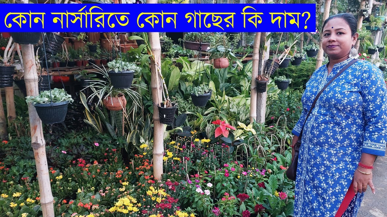 মাত্র ৩০-৪০ টাকায় ফুল গাছ পাওয়া যাচ্ছে এই সমস্ত নার্সারিতে - Bengali ...