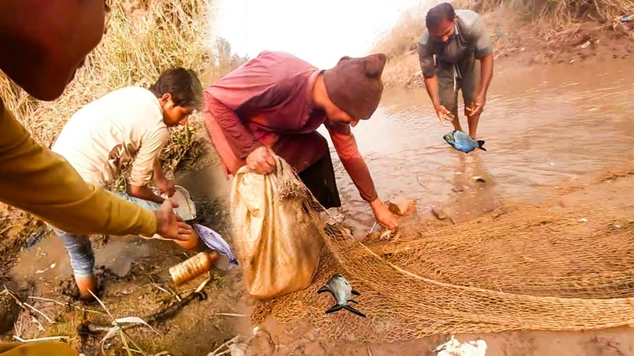 Today is a bad day not a single thick fish||aaj ka din hi kharab Hamare ...