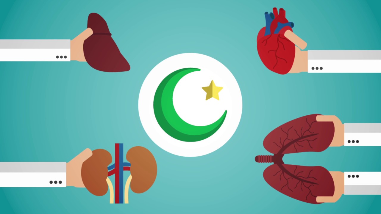 Kuwait Transplant Society - YouTube