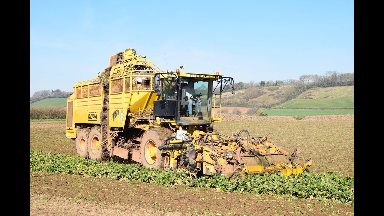 Ropa Beet Harvester - YouTube