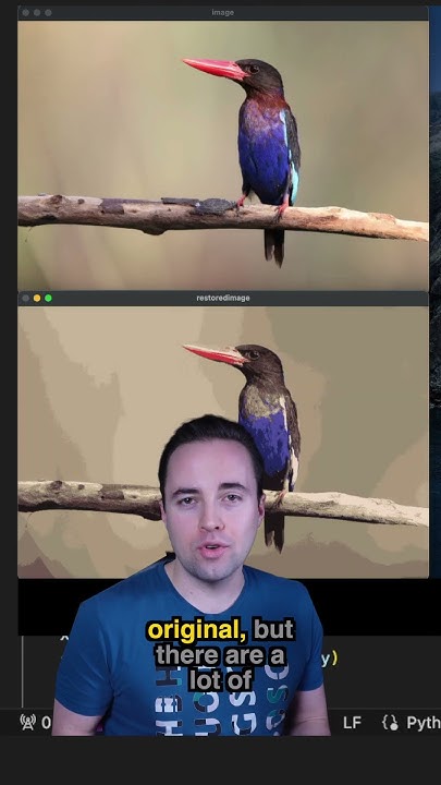 Clustering K Means Coding Pythonlearning Programmingtutorial Youtube