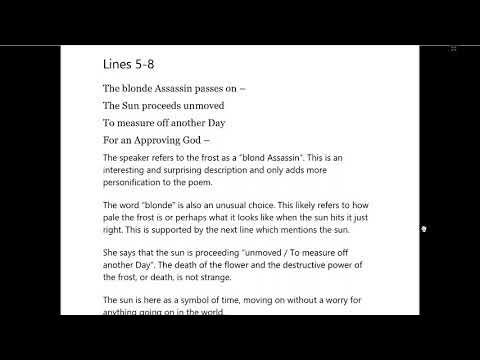 Apparently with no surprise poem Summary | B.a 1st year | English ...