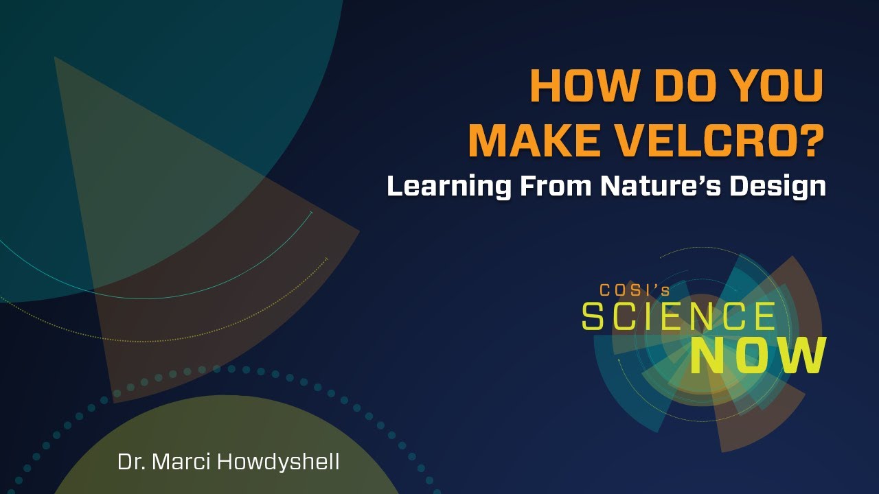 How Did Nature's Design Lead to Velcro's Creation? | COSI's Science Now ...
