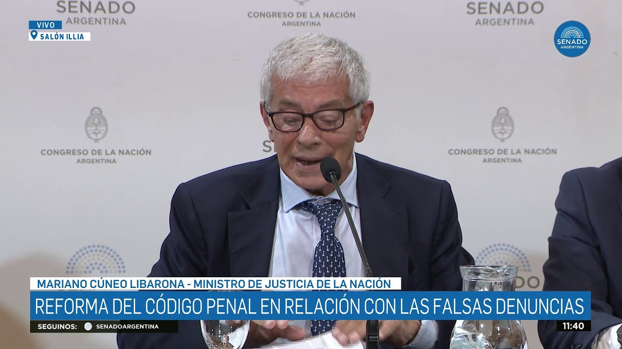 MARIANO CÚNEO LIBARONA - COMISIÓN DE JUSTICIA 26-11-24 - YouTube