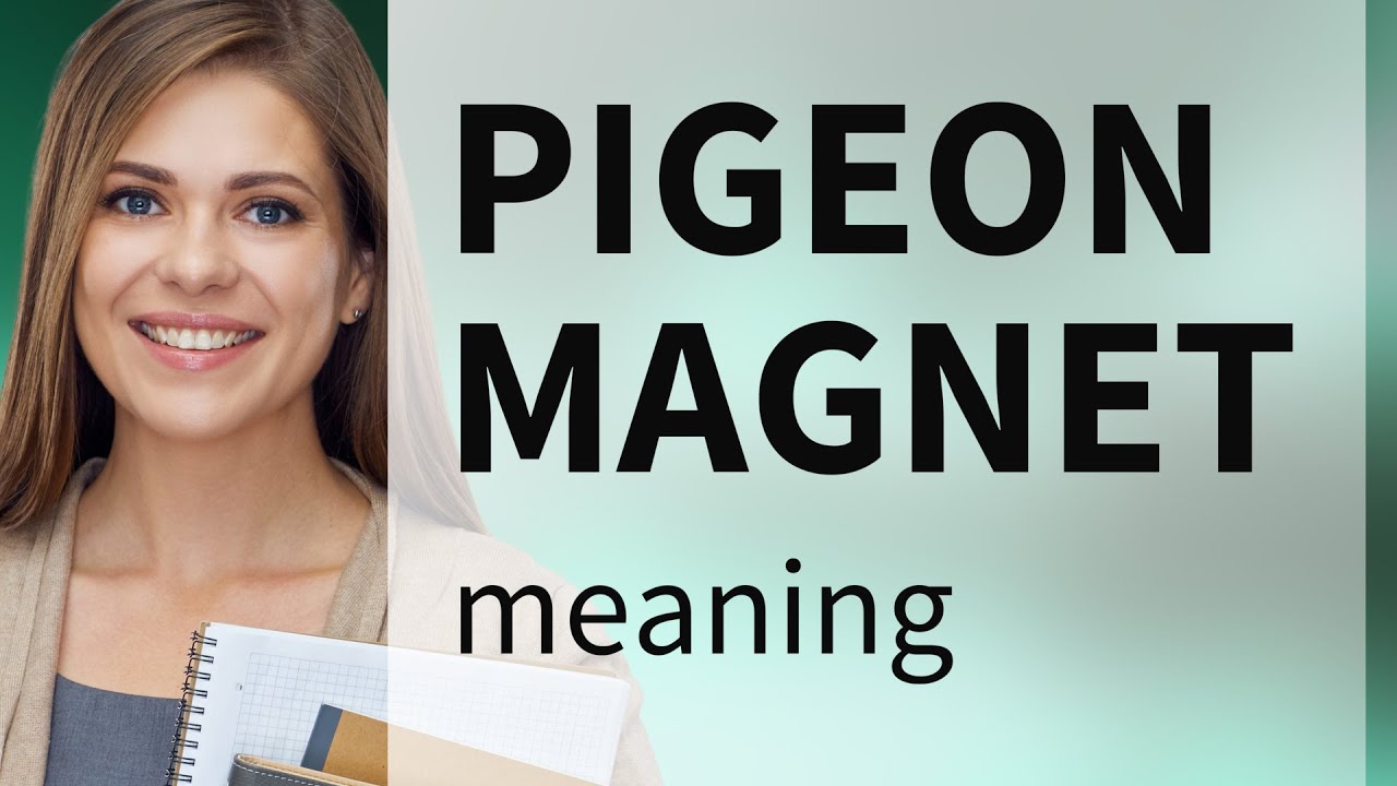 Understanding the Phrase "Pigeon Magnet": An English Learning Guide ...