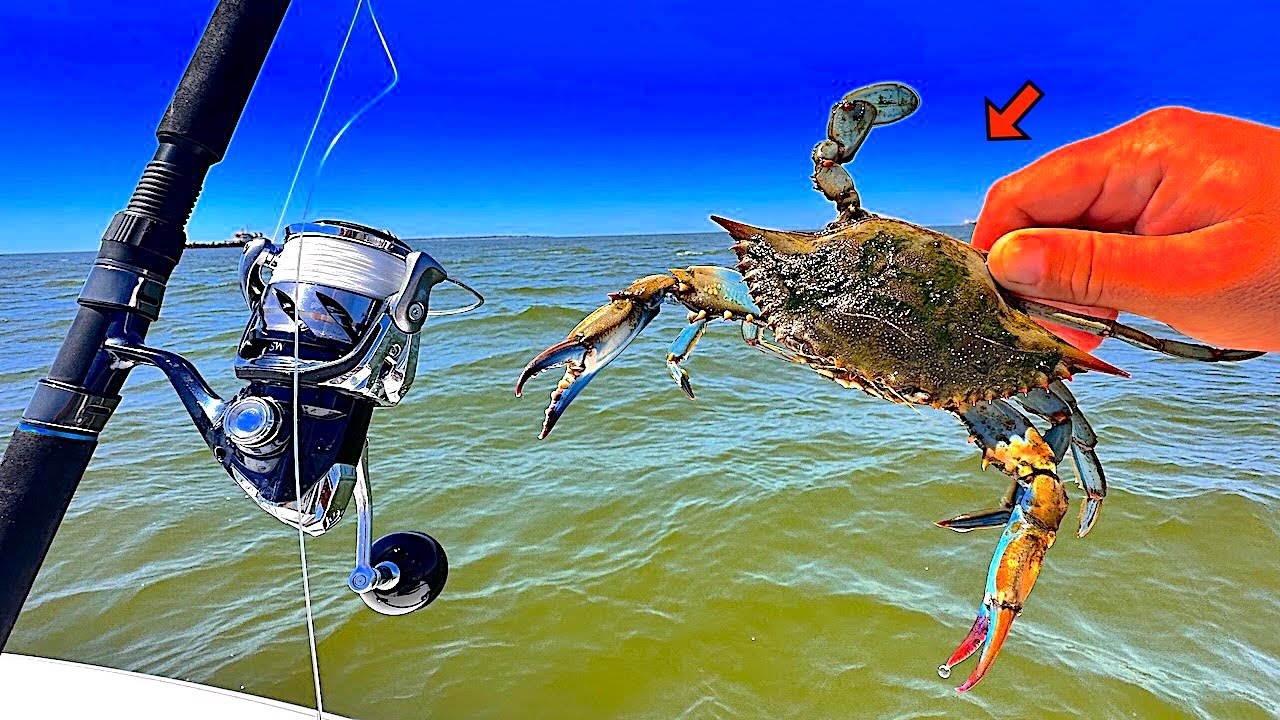 Fishing *BLUE CRABS* for Giant Bull Redfish! [Epic Results] - YouTube