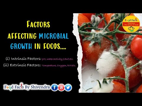 How microbes spoil foods | Factors affecting microbial growth in food ...