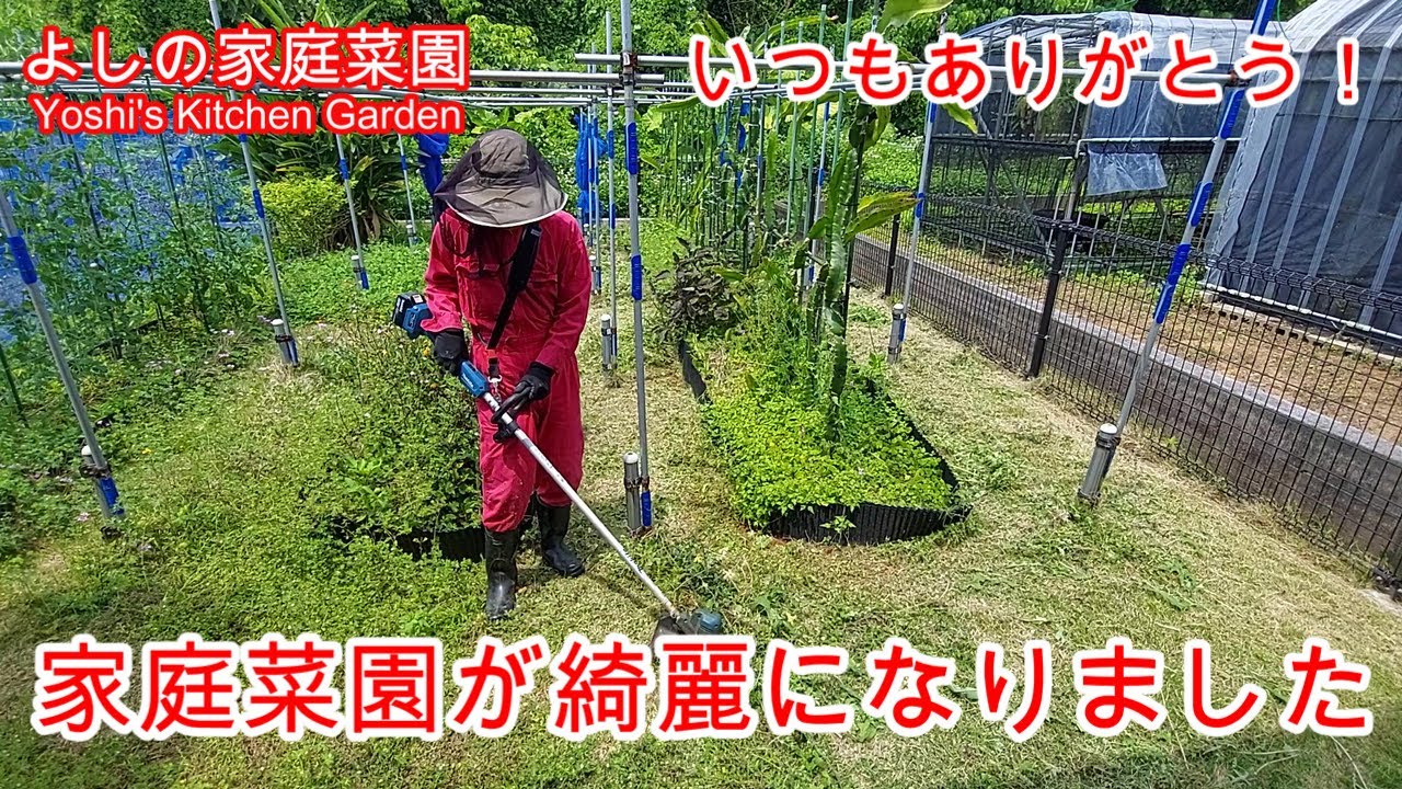 20250412 家庭菜園の草刈り作業 - YouTube