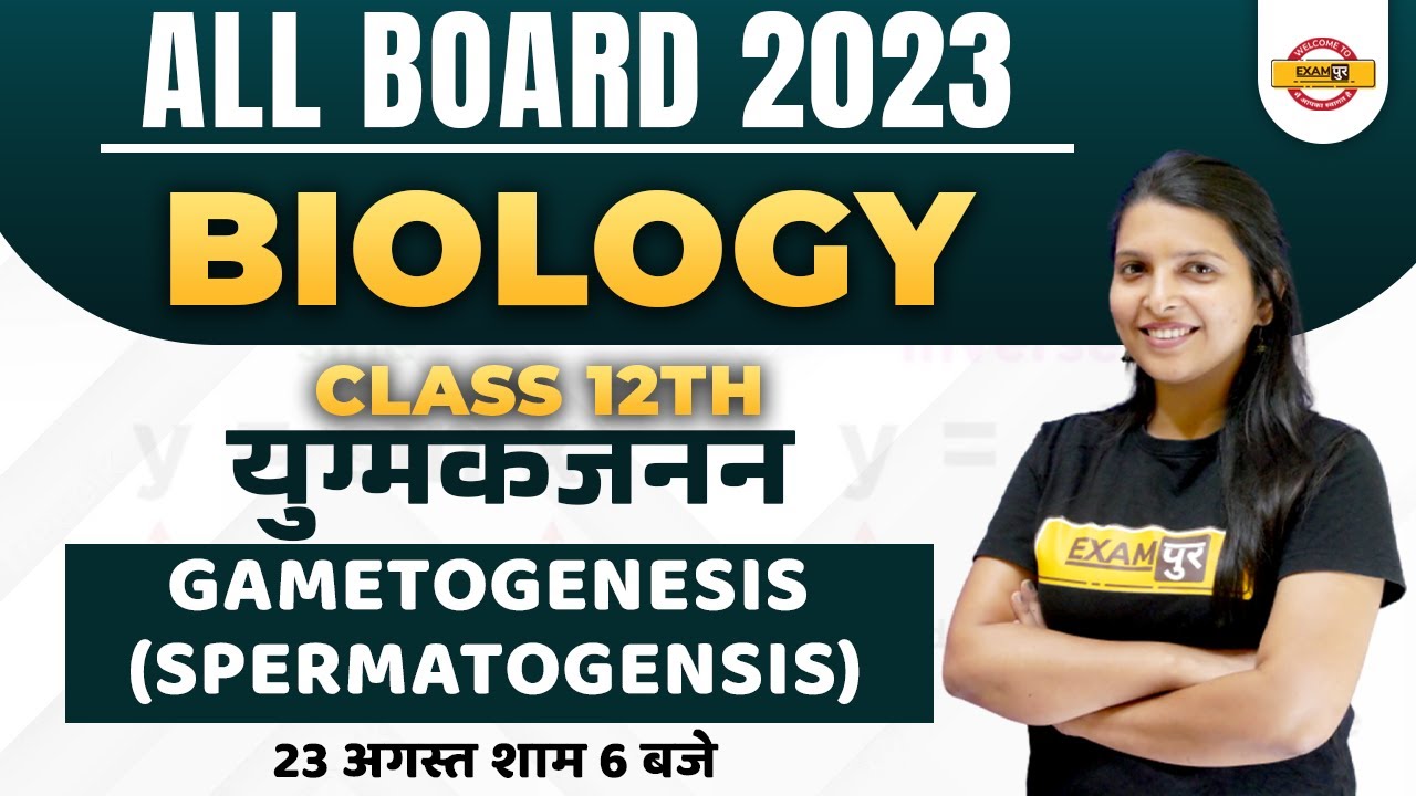 CLASS 12TH BIOLOGY | GAMETOGENESIS ( SPERMATOGENESIS) CLASS 12 ...
