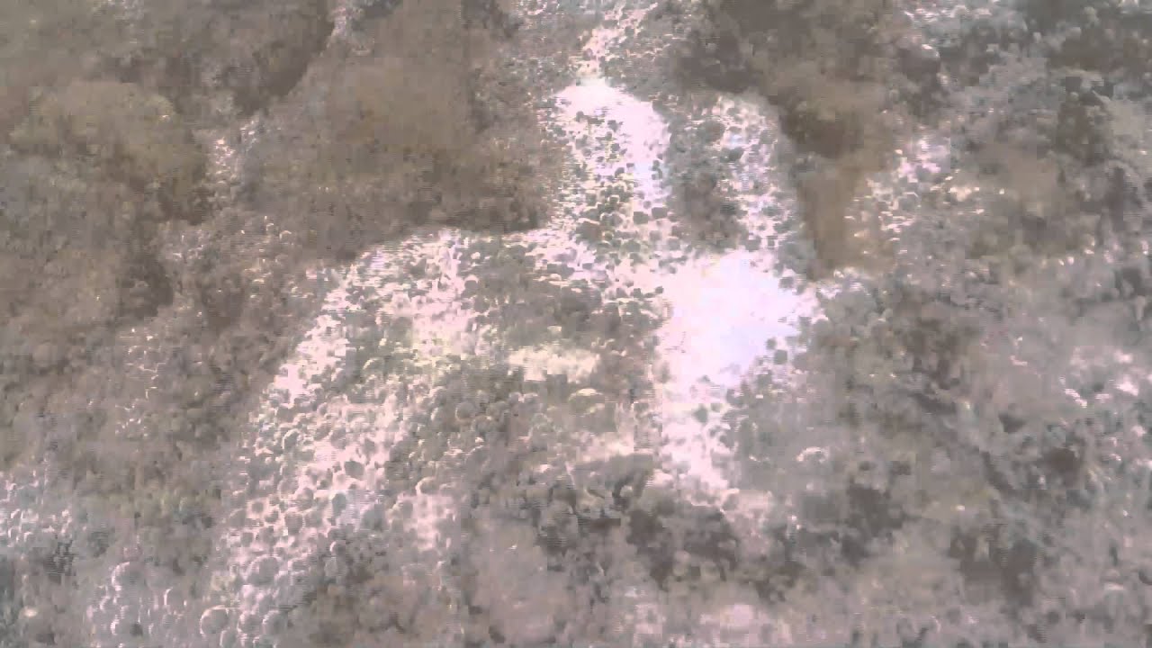 A2 Music Video Intro. Alt J - Dissolve Me - YouTube