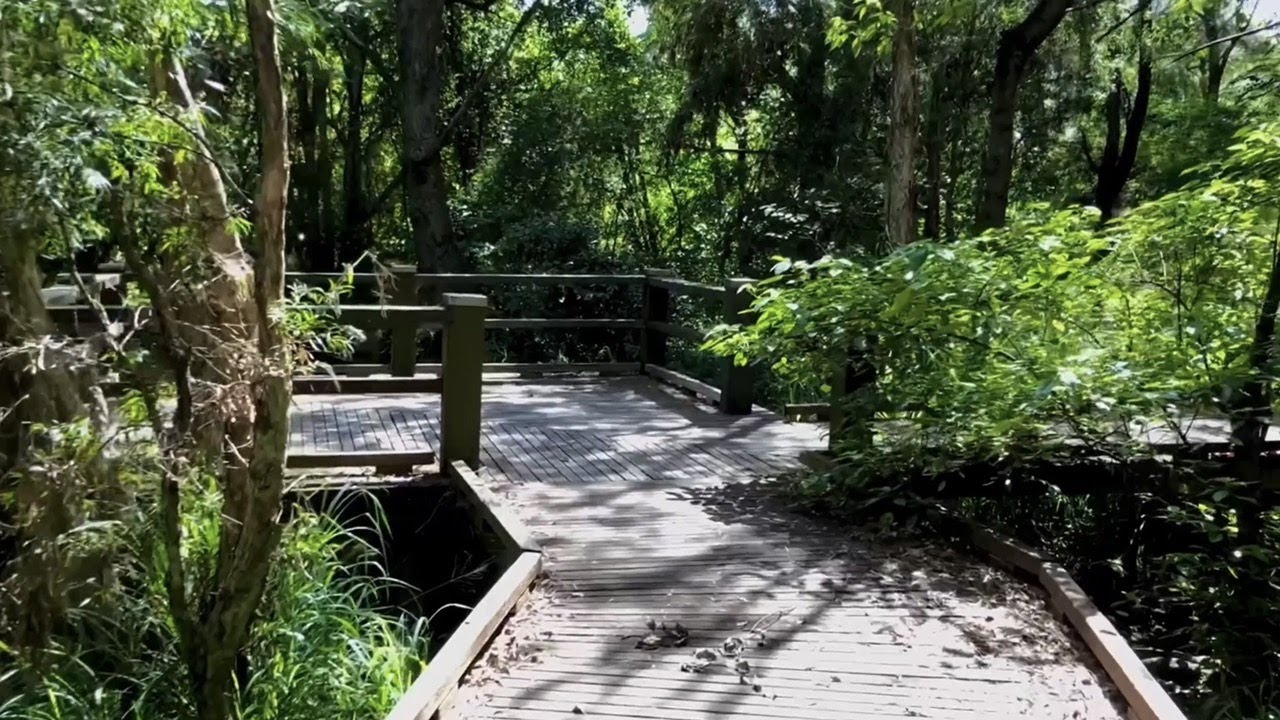 Where is Les Atkinson Park? | Brisbane, Australia | A park where you ...