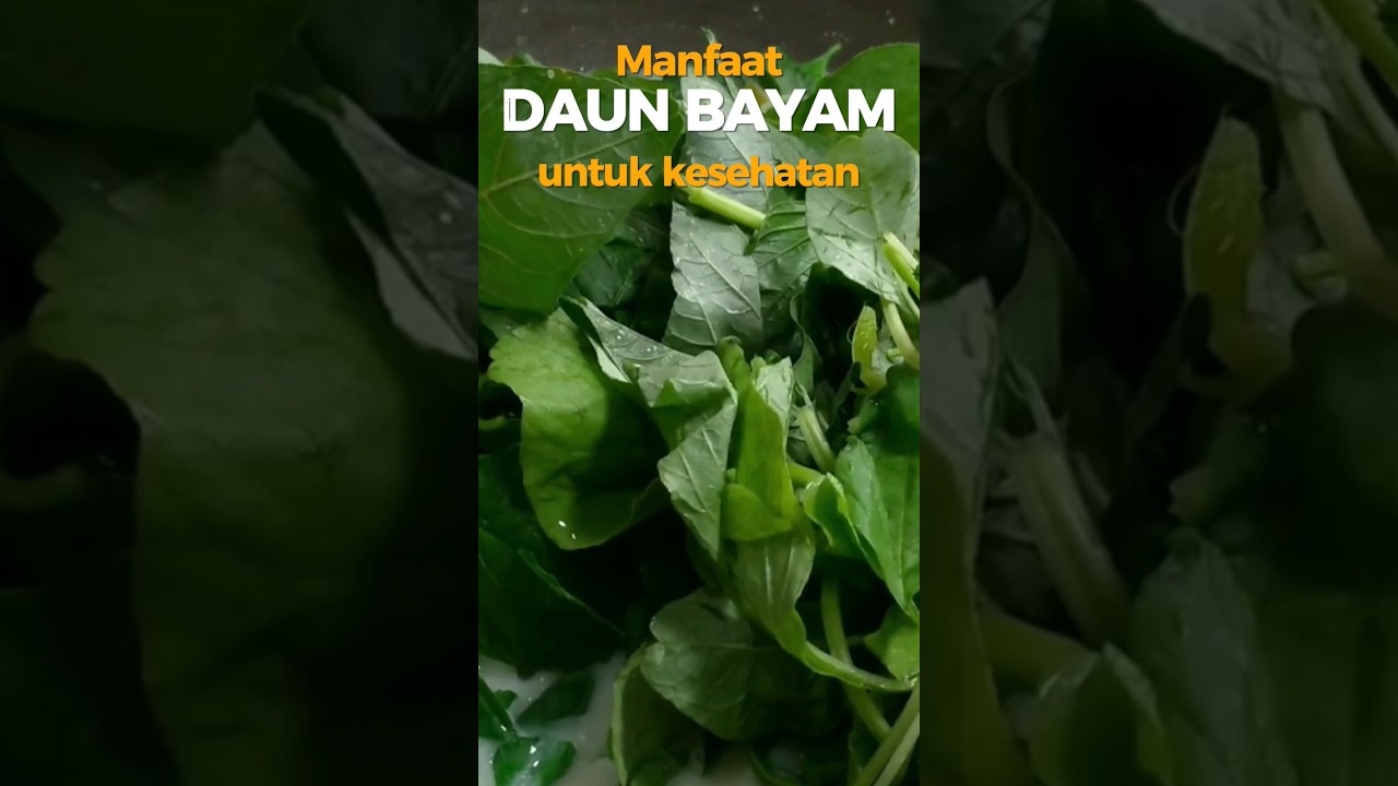 manfaat Daun Bayam untuk kesehatan - YouTube