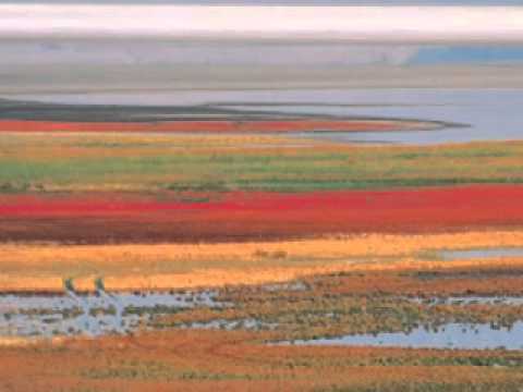 AHMET TEVFİK OZAN-SLAYT-VATAN..