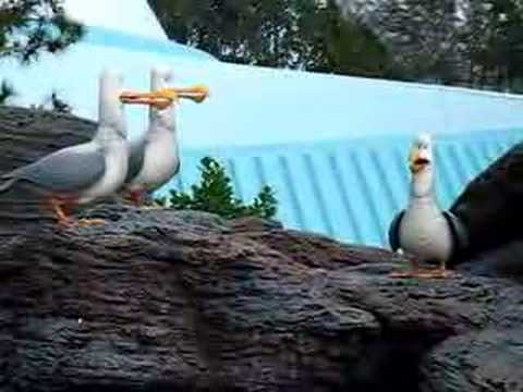 Mine Seagulls in Disney from Nemo - YouTube
