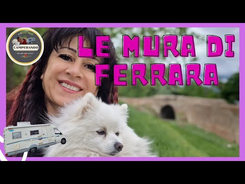 Le mura di Ferrara girate in bici con Attila #camper #travel #dog #travel #pomeranian #ferrara