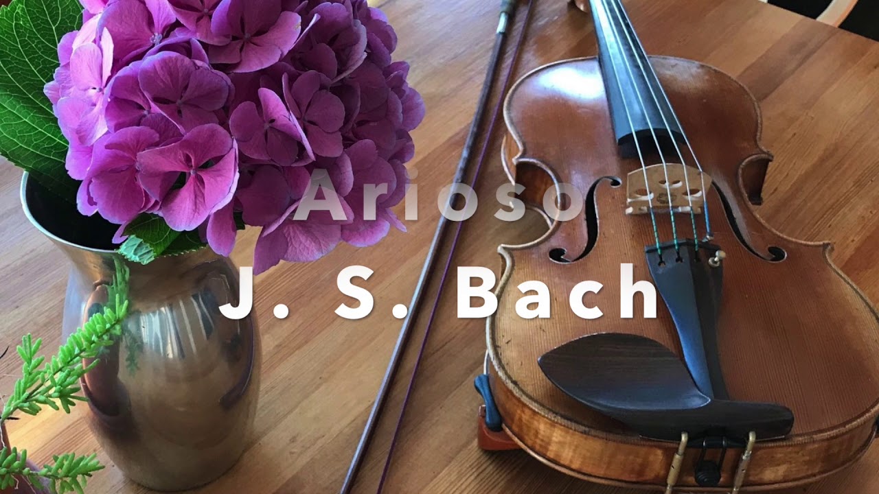 Arioso by J. S. Bach - string quartet - YouTube