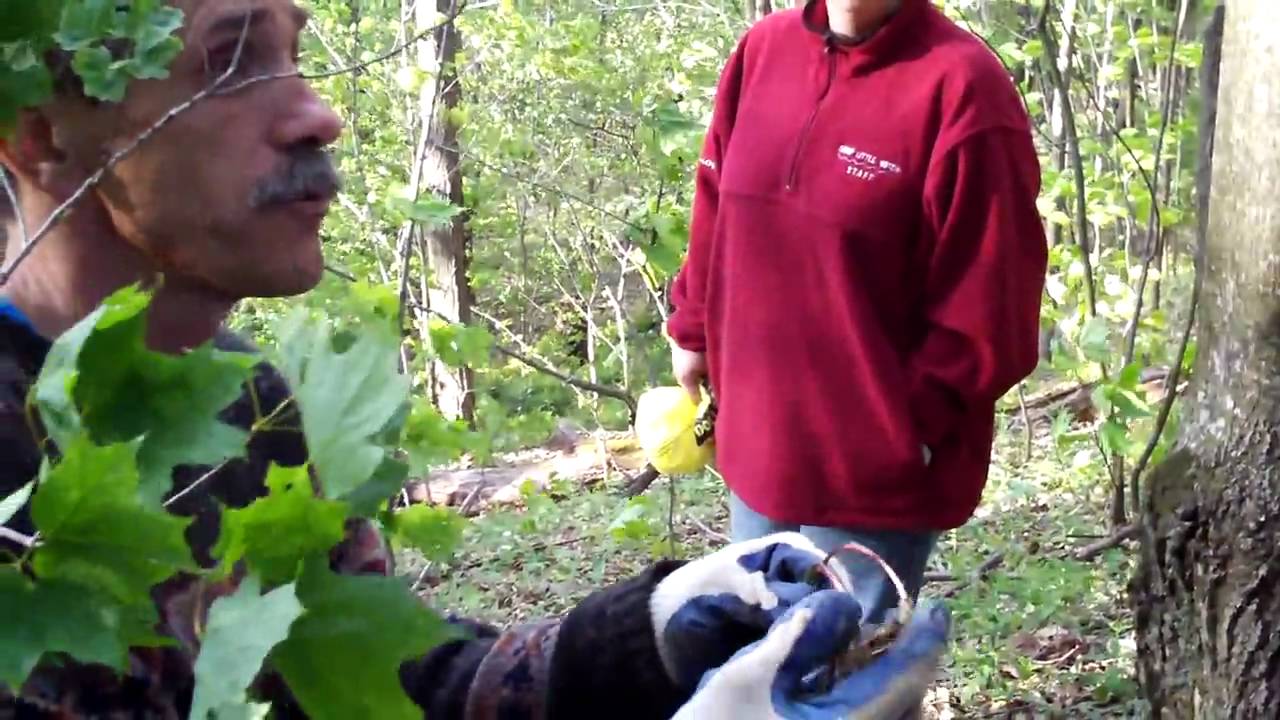 Ramping with Bob Baber - YouTube