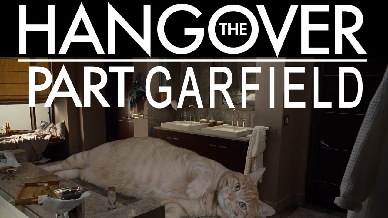 The Hangover With A Cat - YouTube