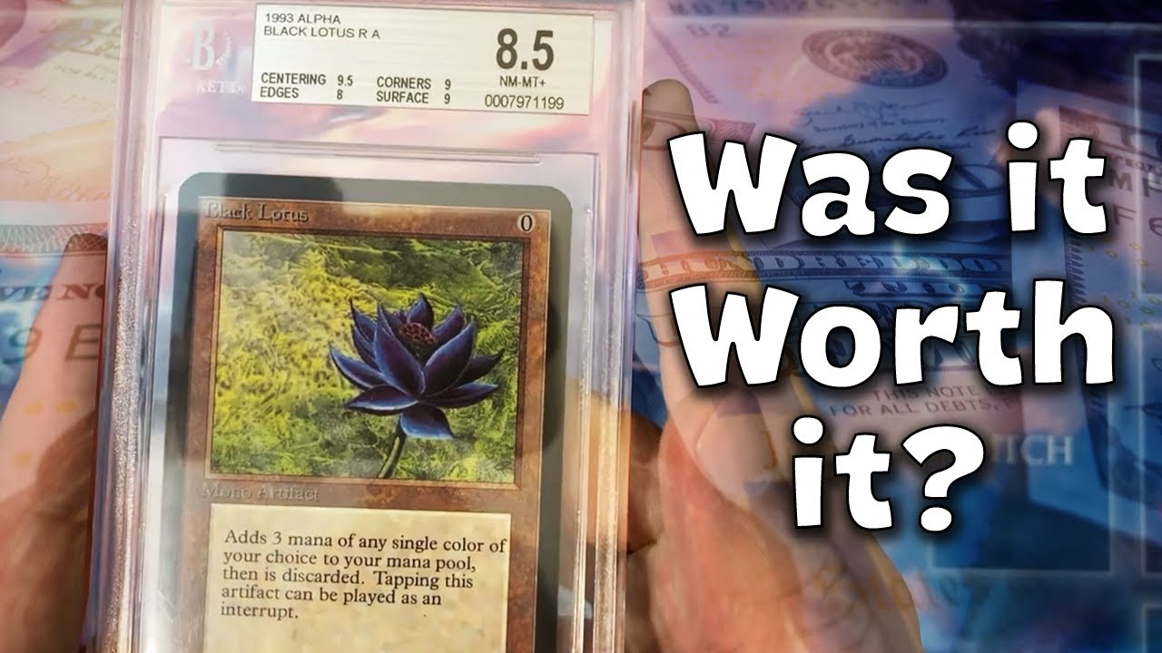 The Biggest Transaction in Flesh and Blood (Alpha Lotus Trade, One Year ...