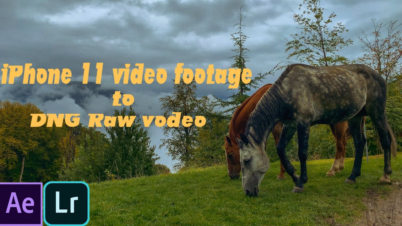 iPhone 11 video footage to DNG Raw video Color grading TUTORIAL VOL.2 ...