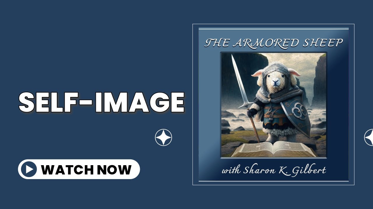 The Armored Sheep: Self-Image - YouTube