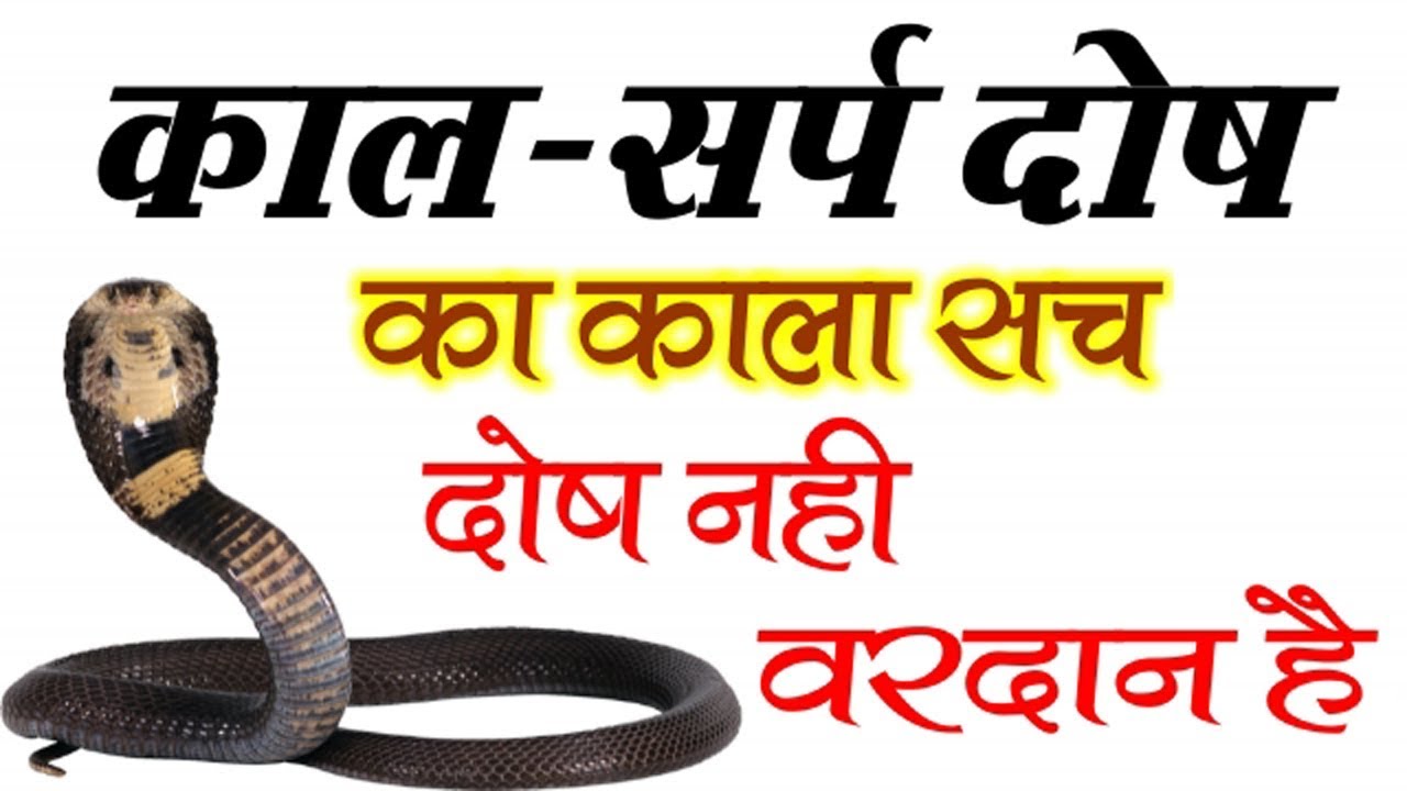 Kaal Sarp Dosh Kya Hai Kaal Sarp Dosh Ke Upay kaal-sarp-dosh-kya-hai-kaal-sarp-dosh-ke-upay