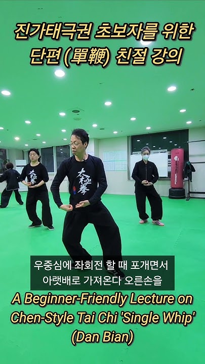 태극권 초보자를 위한 단편(單鞭) 친절 강의 A Beginner-Friendly Lecture on Chen-Style Tai Chi 'Single Whip' - YouTube