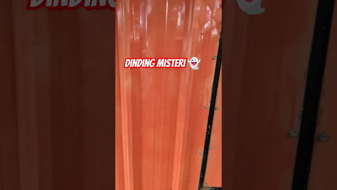 Ada sesuatu dibalik dinding oren #shorts #kucing - YouTube